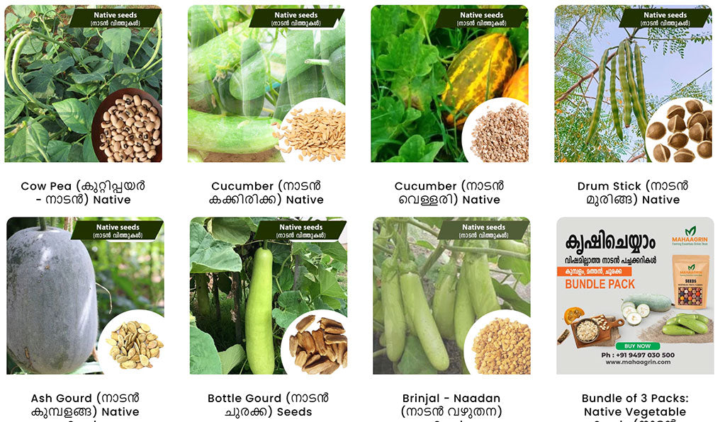 Native vegetable seeds with high pest resistance, buy seeds online ...